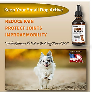 NODENS Small Dog Hip and Joint Liquid Glucosamine for Dogs with Chondroitin – Small Dog Joint Supplement for Natural Dog Pain Relief Anti-inflammatory for Improved Joint Flexibility and Mobility 59ml