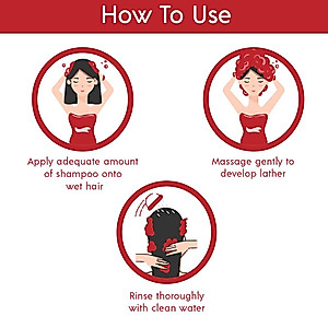 TRUTHSOME Detox & Damage Repair Shampoo with Apple Cider Vinegar & Green Tea, No Silicones, Sulphates, Parabens, Phthalates 300 ml