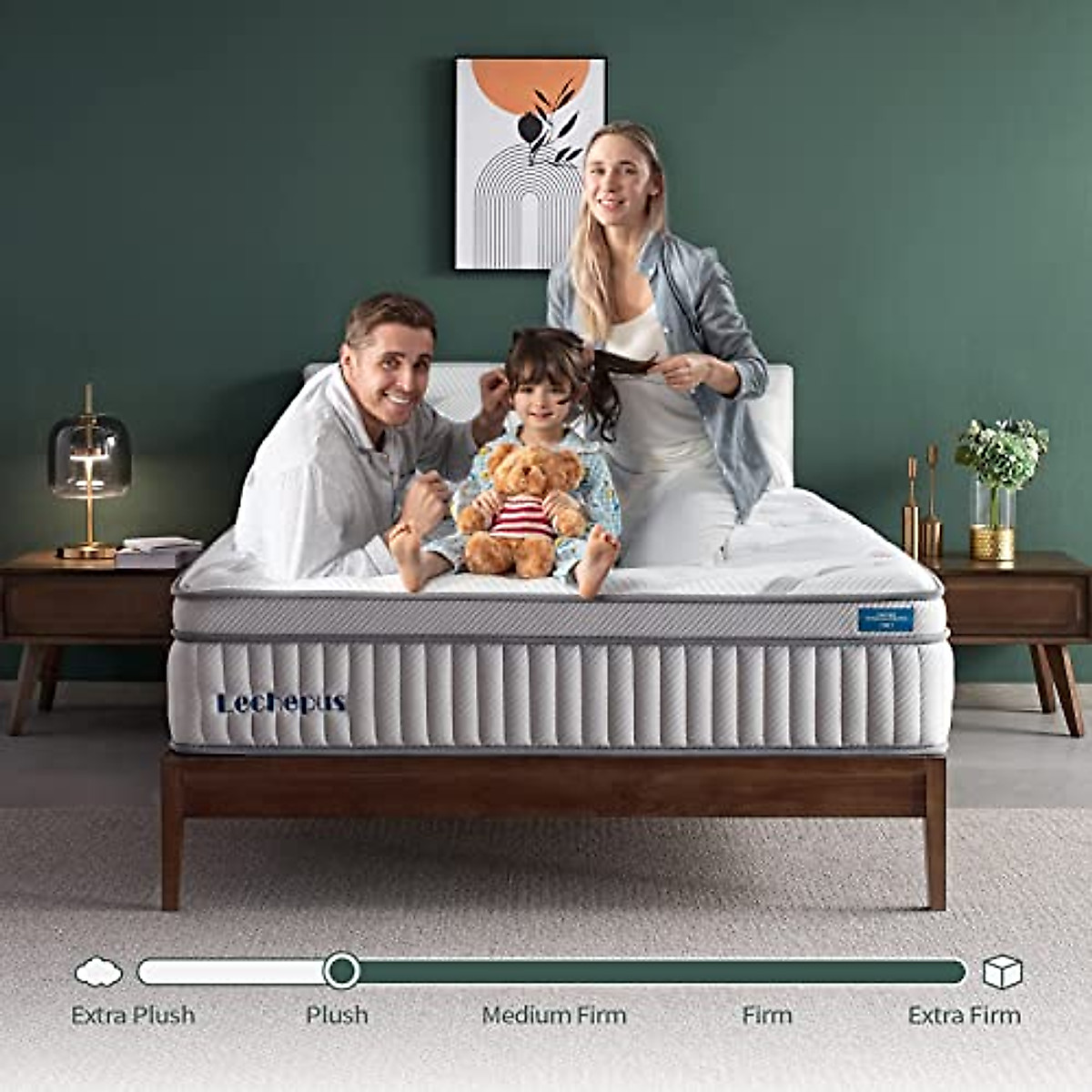 14 Inch Queen Mattress in a Box, Lechepus Plush Memory Foam Hybrid Mattress with Pocket Innerspring, Soft But Supportive Mattress for Pressure Relief, Queen Size 60"*80"