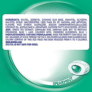 Mentos Pure Fresh Sugar-Free Chewing Gum with Xylitol, Spearmint, 50 Piece Bottle (Bulk Pack of 6)