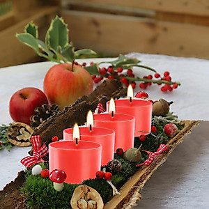 Clear Cup Tea Light Candles - Red - Box of 50 - Apple Scented Tealight Candles - Long Burning Time of 8 Hours - Great for All Events