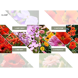 California Wildflower Mix - 10,000 Seeds - 17 Varieties - No Fillers, Open Pollinated and Non GMO, Perennial and Annual Garden Flowers, Attracts Bees and Butterflies