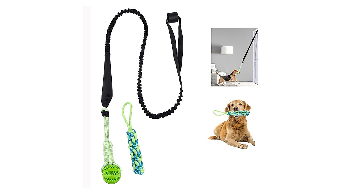 SLAUNT Dog Bungee Tug Toy - Spring Pole for Interactive Play