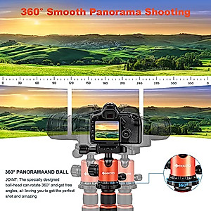 GEEKOTO 58” DSLR Tripod, Compact Aluminum Alloy Lightweight Camera Tripod with 360 Degree Panorama Ball Head, Professional Camera Tripod for Travelling, Learning and Working