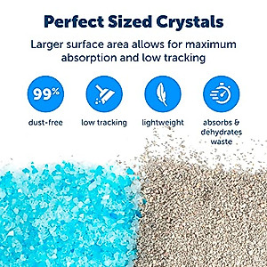 PetSafe ScoopFree Premium Blue Crystal Litter, 2-Pack – Includes 2 Bags of Lightly Scented Litter – Absorbs Odors 5x Faster than Clay Clumping – Low Tracking for Less Mess – Lasts up to a Month