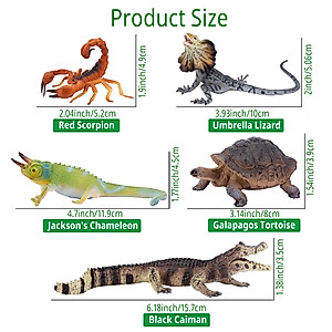 Toymany Reptile Animal Figurine Toys Set, 12 PCS Desert Amphibians Animal Figures with Komodo Dragon Lizard Snake Chameleon Rainforest Cold Blooded Animals Figures Party Favor for Kids