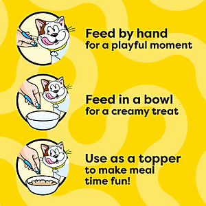 Temptations Creamy Puree with Chicken, Lickable Cat Treats, 0.42 oz Pouches, 24 Count