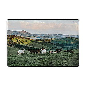 Custom Office Rug Personalized Area Rugs Design Your Logo Image Text Home Decoration Carpet for Bedroom Living Room (36 x 24Inch)