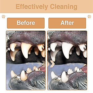 Wagably Pet Dental Wipes for Dogs and Cats - Eliminate Bad Breath, Plaque, and Tartar - Finger Toothbrush Design - Cleans Ears, Eyes Tear Mark and Paws - 65 Disposable Wipes - No Rinsing Needed