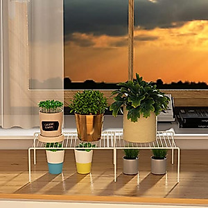 GEDLIRE Kitchen Cabinet Expandable Shelf Organizers Set of 2, Adjustable Metal Wire Pantry Storage Shelves, Plate Dish Organizer Rack for Cabinets, Cupboard, Counter, Freezer, Countertop, White