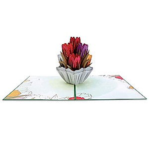 Paper Love 3D Pop Up Card, Tulips, Handmade 3D Popup Greeting Cards, For Thinking of You, Thank You, Sympathy, Wedding, Anniversary, Get Well, Just Because, Mother's Day, Valentine's Day, All Occasion, 5" x 7"