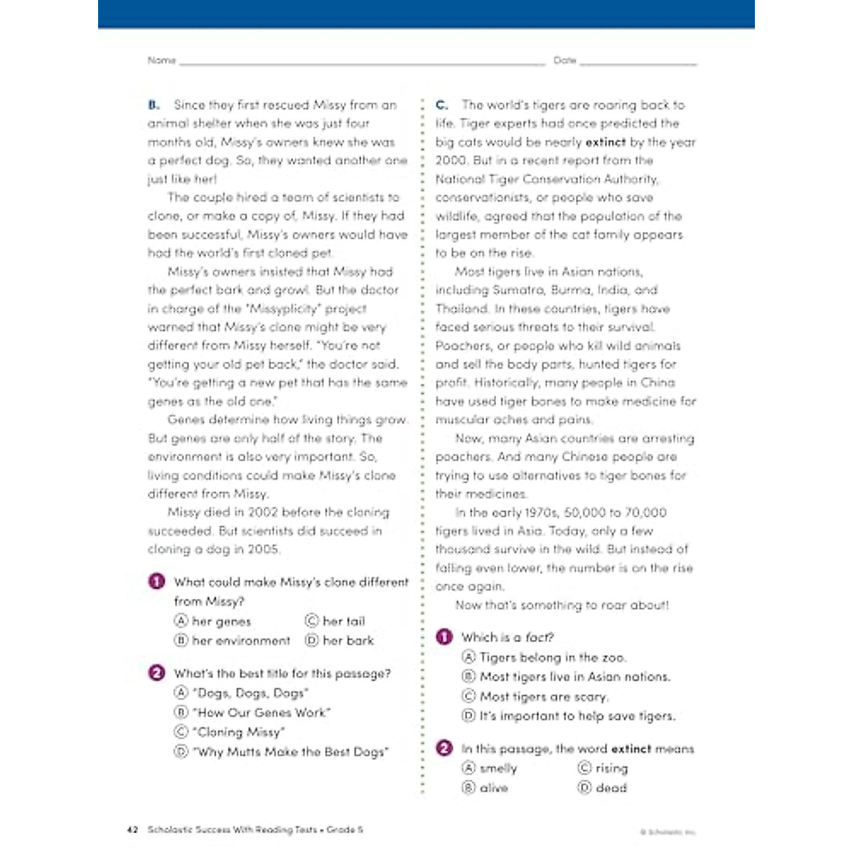 Scholastic Success with Reading Tests Grade 5 Workbook