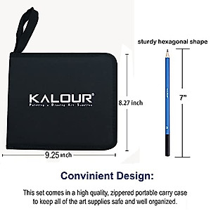 KALOUR 33 Pieces Pro Drawing Kit Sketching Pencils Set,Portable Zippered Travel Case-Charcoal Pencils, Sketch Pencils, Charcoal Stick,Sharpener,Eraser.Art Supplies for Artists Beginner Adults Teens