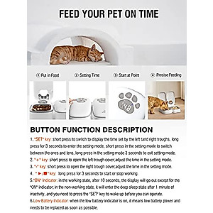 Automatic Cat Feeders 2 Cat, Wet Dry Cat Food Dispenser with 48H Delay, Smart Dog Cat Feeder Automatic with 2 Bowls, Timed Pet Feeder with Locking Design, Programmable Portion Control 2 Meals Per Day