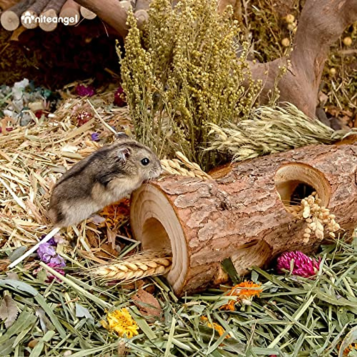 Niteangel Natural Wooden Hamster Mouse Tunnel Tube Toy Forest Hollow Tree Trunk