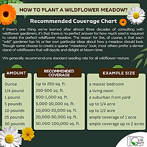 Bulk Wildflower Seed Shaker – Perennial Flower Seeds Mix to Plant Anywhere, by Geva Grow | 20 - Different Type Beautiful Perennial Wildflower Seeds Bulk 900,000+ Seeds, 1 Pound Tub