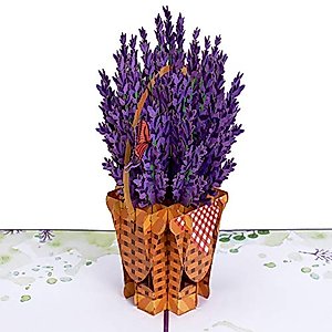 Paper Love 3D Pop Up Card, Lavender Basket, For Mothers Day, Valentines Day, Birthday, All Occasions - 5" x 7" Cover - Includes Envelope and Note Tag