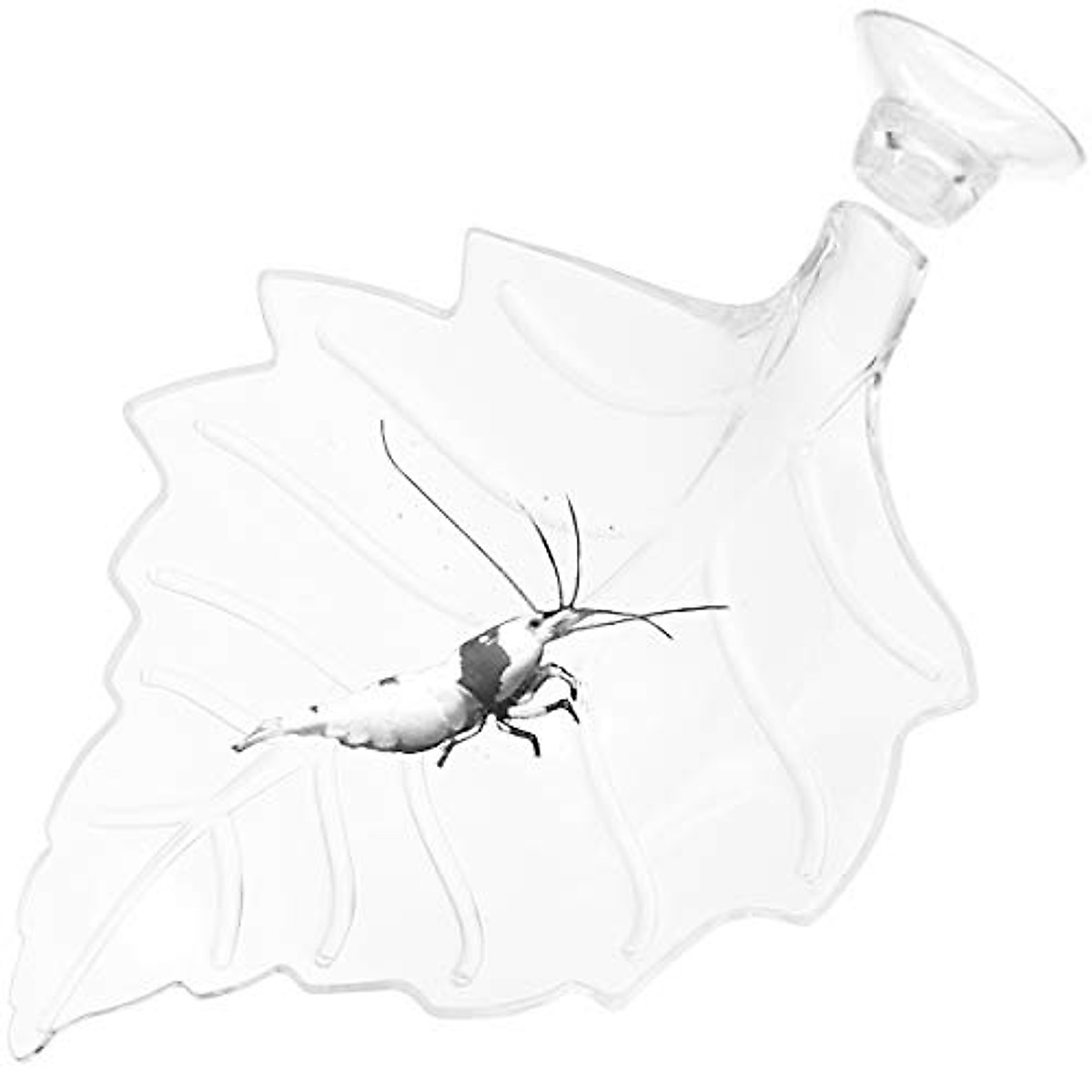 JZMYXA Shrimp Feeding Dish Shrimp Feed Dish Leaf Shaped Bowl