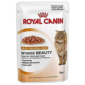 Royal Canin Intense Beauty in Jelly Cat Food 12 x 85g