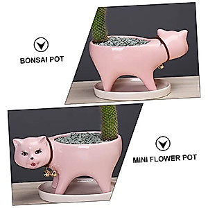 HANABASS Decoration Animal Lovely Tail Pink Decor Gift and Saucer Office Cat Desktop Planter Plant Shaped Drainage Bonsai Flowerpot Mini Panda Pots with for Statue Decorative Pot Home Tray