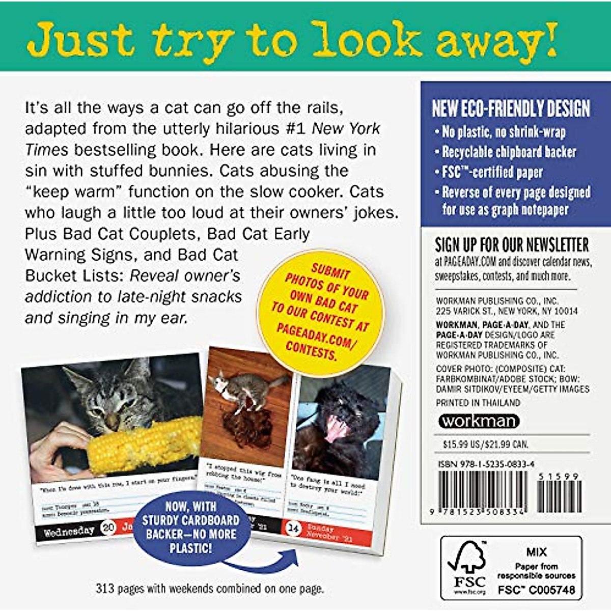 Bad Cat Page-A-Day Calendar 2021