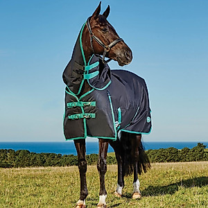 WeatherBeeta Green-Tec 900D Detach-A-Neck Medium Horse Blanket, Black/Bottle Green, 69"