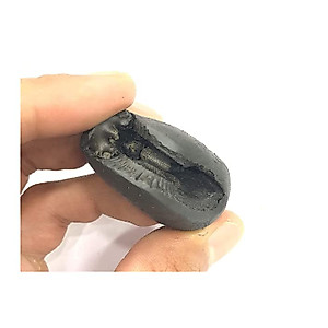 SynSpiritStore Original Shaligram/Shalagram Shila Stone (Approx. 6~9 cm) for Lord Vishnu Pooja and Tulsi Pooja, Nepal Gandaki River Stone