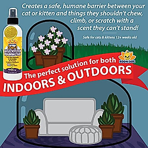 3-in-1 Cat & Kitten Training Aid with Bitter | Cat Training Spray for Indoor and Outdoor Use | Anti Scratch Furniture Protector | Establish Boundaries & Keep Cat Off | Made in The USA (8oz)