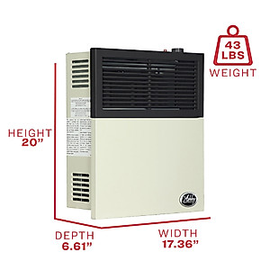 Ashley Hearth DVAG11N 11,000 BTU Direct Vent Natural Gas Heater, Cream
