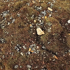 Miniature Scenery Basing Material Kit Terrain Kit for DIY Model Terrain Scenery Model Railway Fairy Garden Diorama Scenery, Pack of 3