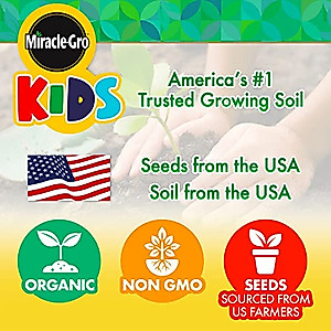 Creative Kids Miracle GRO Fairy Garden DIY Magical to Plant, Grow and Decorate Including LED Bedside Night Light! - Growing Kit & Your Own Gift Age 6+, Multicolor (62851)