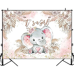 Sensfun Boho Elephant Baby Shower Backdrop for Girl Blush Pink Pampas Grass It's a Girl Elephant Little Peanut Baby Shower Decorations Photography Background Cake Table Photoshoot Props 7x5ft