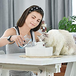 Cepheus Ceramic Pet Drinking Fountain, Ultra Quiet Cat Water Fountain, 2.1L Drinking Fountains Bowl for Cat and Dogs with Carbon Filter and Foam(White)