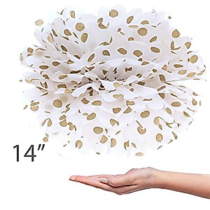 Vidal Crafts 20 Pcs Tissue Paper Pom Poms Kit (14", 10", 8", 6" Tissue Paper Flowers) for Wedding, Birthday, Engagement Party Décor, Gender Neutral Baby Shower, Boy or Girl Nursery Decoration