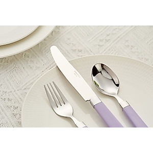 ANNOVA 20 Pieces Stainless Steel Flatware/Cutlery Set - Color Handles - 4 x Dinner Forks, 4 x Salad Forks, 4 x Dinner Knives, 4 x Dinner Spoons, 4 x Dessert Spoons - Service for 4 (Lilac, 20 Pieces)