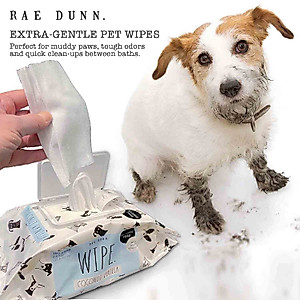 Rae Dunn Pet Wipes, Alcohol Free with Aloe and Vitamin E, Coconut Vanilla, 150 Count