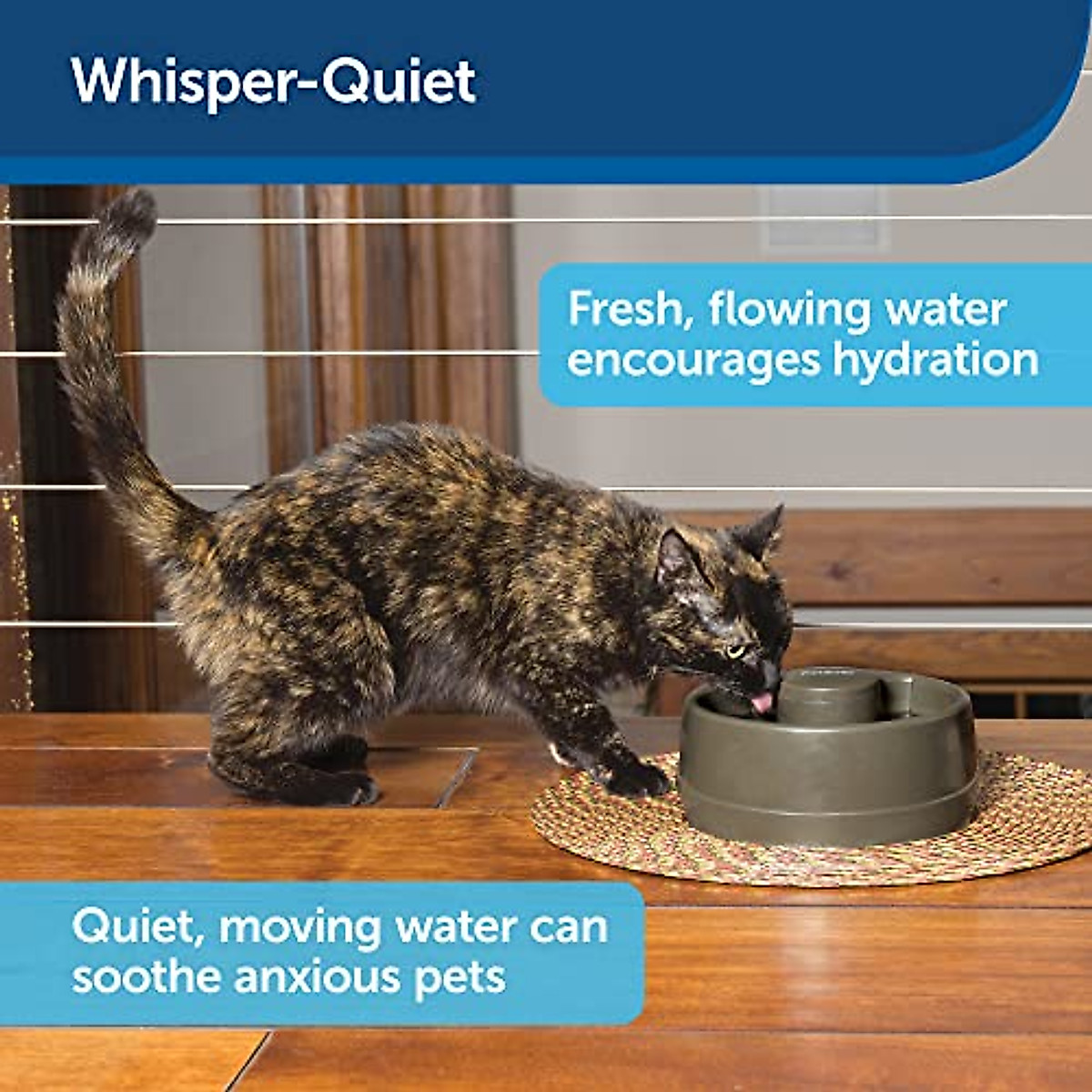 PetSafe Current Pet Water Fountain - Circulating Drinking Fountain for Cats and Dogs - Small, Forest, 40 oz Capacity Water Dispenser - Carbon Filter Included - Easy to Clean Design