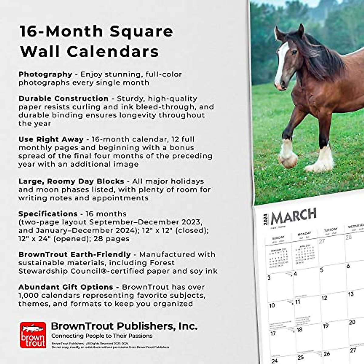 Clydesdales | 2024 12 x 24 Inch Monthly Square Wall Calendar | BrownTrout | Animals Horses
