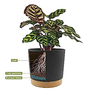 QCQHDU Plant Pots Set of 2 Pack 8 inch,Planters for Indoor Plants with Drainage Holes and Removable Base,Saucer Modern Decorative for Outdoor Garden Planters(Dark Grey 8in)