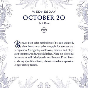 A Witch's Year 2021 Daily Calendar: 365 Days of Witchcraft Wisdom, Lore, and Magick