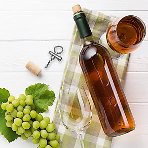 Munkees Mini Keychain Corkscrew Tool, Small Key Ring Wine Opener, Emergency Travel Cork Wine Opener, Portable Backpack Camping Kit, Wine Enthusiasts, Waiters, Bartenders, Bottle Opener Gift Set