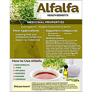 Dalal Alfalfa Grass Powder - 200 GM