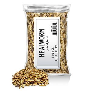 Carnivorous Plant Food Dried Mealworms (1oz), for Feeding Carnivorous Plants (Venus Fly Trap, Pitcher Plant, Sundews, Etc.)
