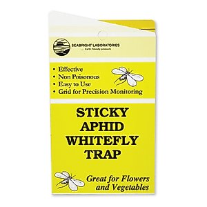 Aphid and Whitefly Sticky Traps - 5 Pack
