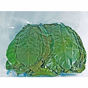 Ag Sop Soursop Graviola 100 Leaves