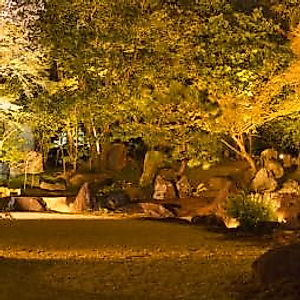 Explux PAR20 LED Flood Amber Light Bulbs, 60W Equivalent Intensive Amber Color Light, Full-Glass Waterproof & Anti-Ageing, Dimmable, Amber Colored Spotlight, 4-Pack