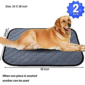 DEOMAN pet Heating pad for Dogs and Cats with 2 pcs Washable Dog Pee Pads