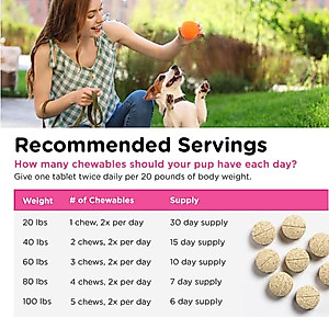Nutri-Vet Allerg-Eze Chewables for Dogs - Formulated Antioxidants and Omega-3 Acids - Supports Respiratory and Skin Health - 60 Chewables