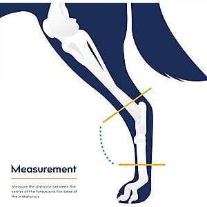 Balto Flexor Adjustable Hinged Dog Hock Brace – Ankle Brace –Variable Range of Motion or Full Immobilization – Post Surgical Support or Surgical Alternative – Back Leg (Medium/Large)
