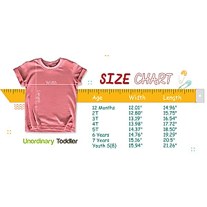 Unordinary Toddler Big Sister Little Sister Matching Outfits Shirt Gifts Girls Newborn Baby Set (Mauve, Kid (3Y) / Baby (1-3M))